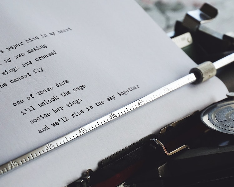 Poetry Analysis Essay Step By Step Guide Poetry Analysis Essay Step By Step Guide